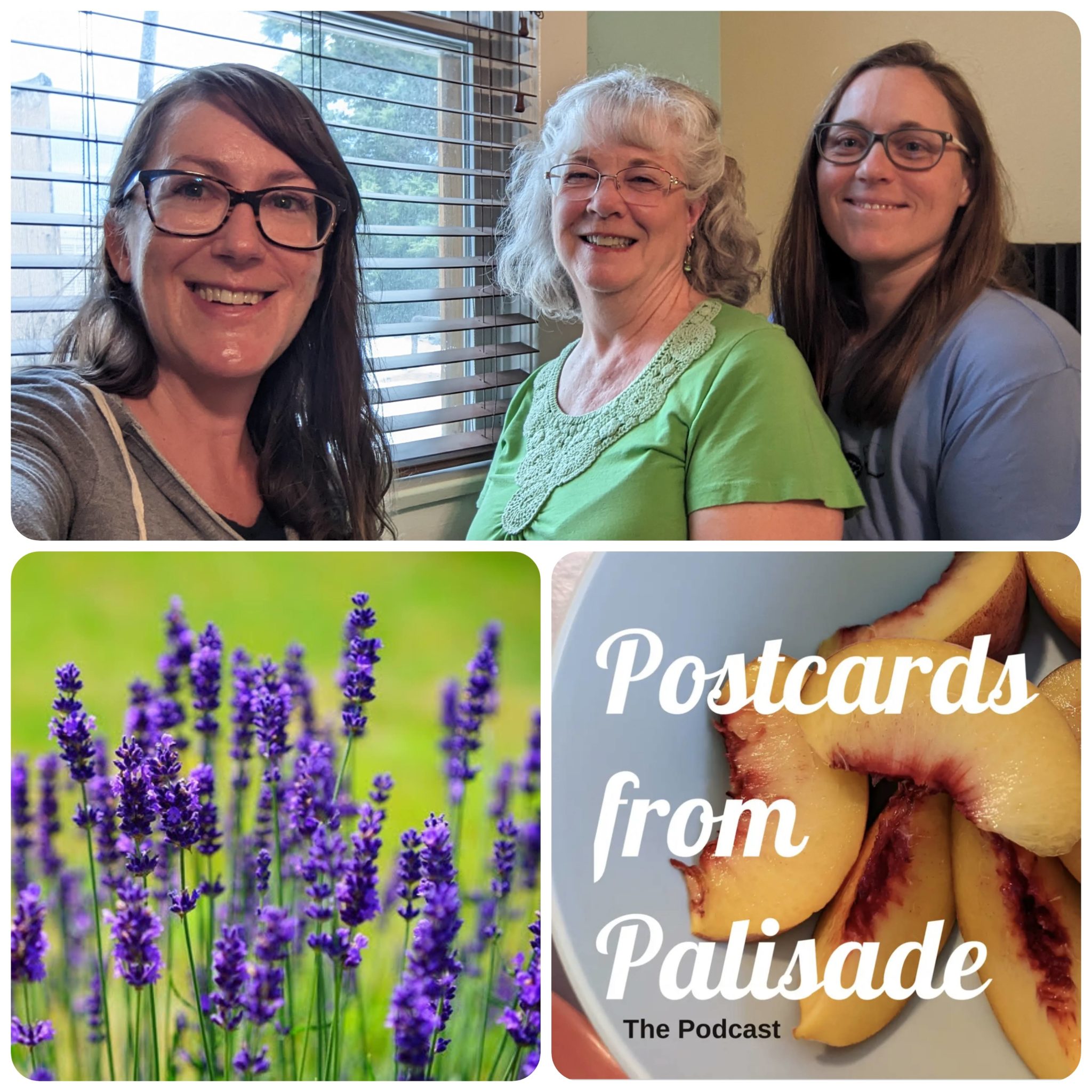 E11: Colorado Lavender with Olivia Coe and Lee Ann Nielsen of the ...