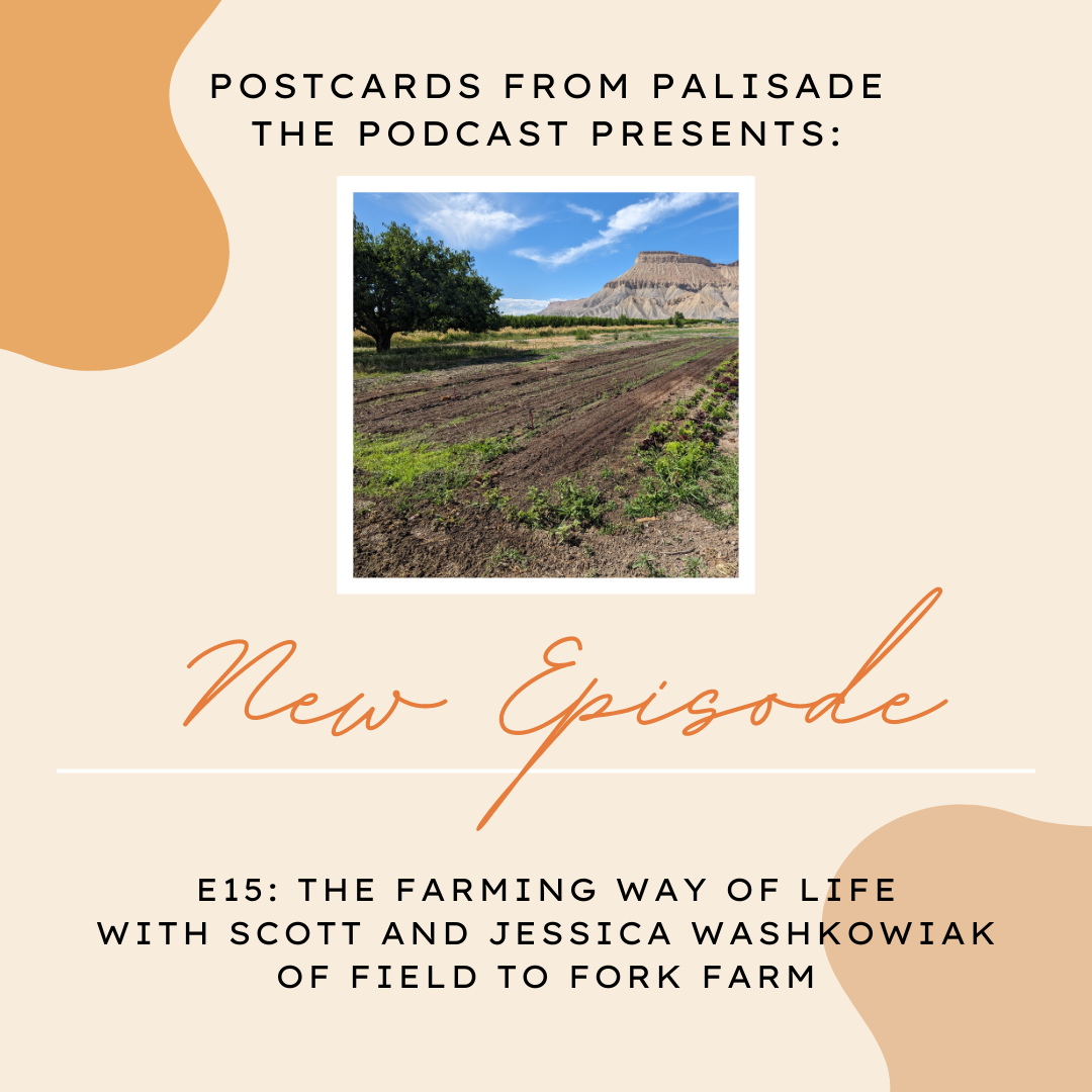 E15: The Farming Way of Life with Scott and Jessica Washkowiak of Field ...