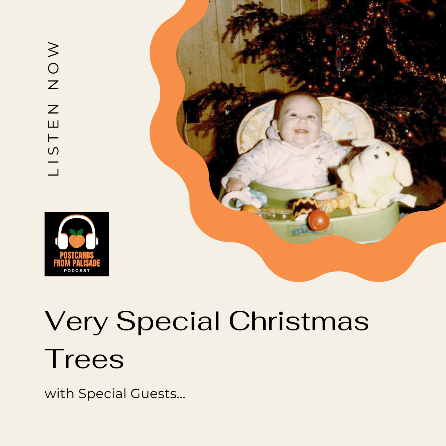 E51: Very Special Christmas Trees – Postcards From Palisade